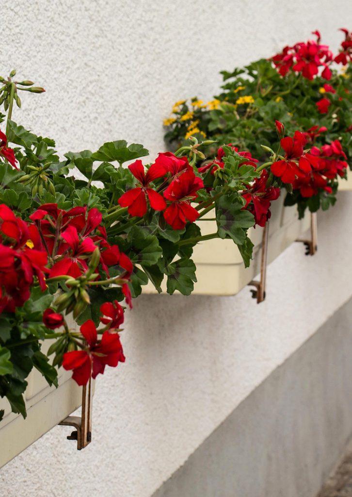 Flower Boxes | Home Design Extras 843-399-2568